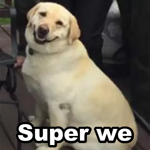 Super we Sticker de WhatsApp - DescargarStickers