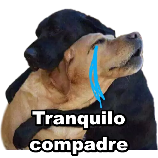 Tranquilo compadre #2568273 Sticker de WhatsApp - DescargarStickers