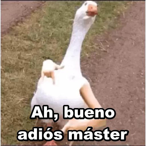 Ah, bueno adiós máster Sticker de WhatsApp - DescargarStickers