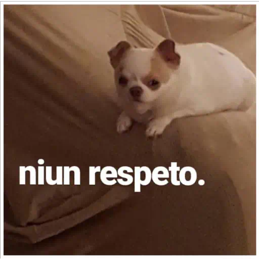niun respeto Sticker de WhatsApp - DescargarStickers
