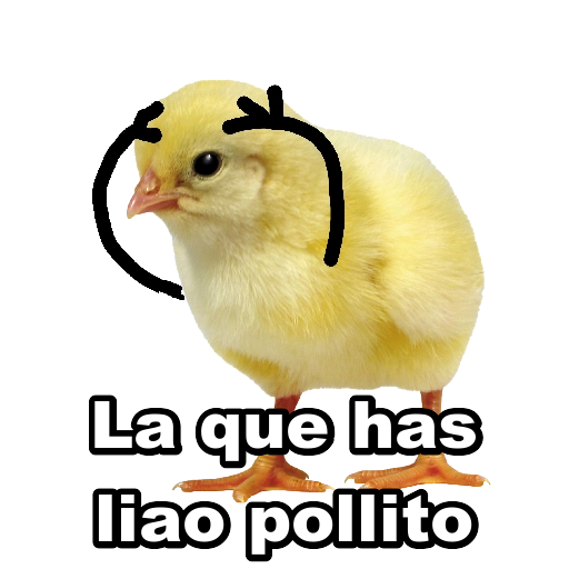 Sticker La que has liao pollito PNG - DescargarStickers