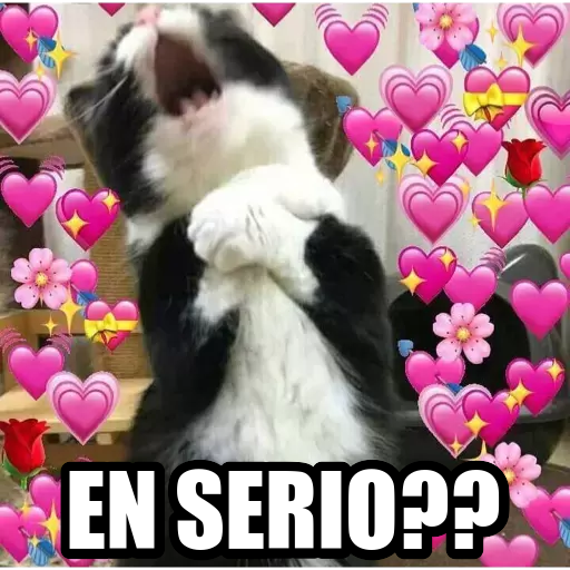 EN SERIO?? #0408656 Sticker de WhatsApp - DescargarStickers