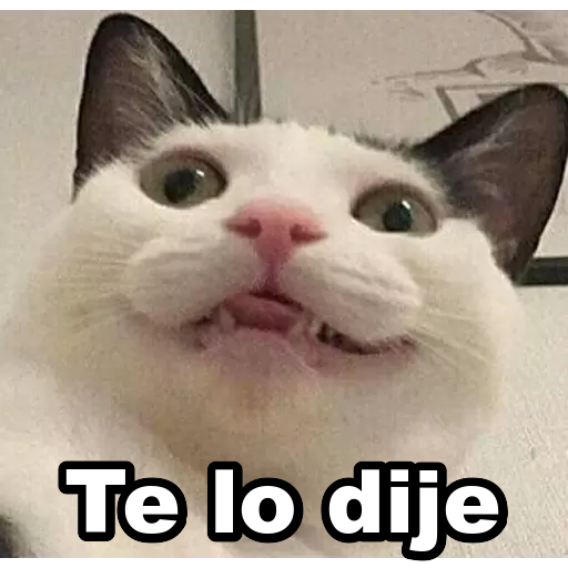 Te lo dije #0508145 Sticker de WhatsApp - DescargarStickers