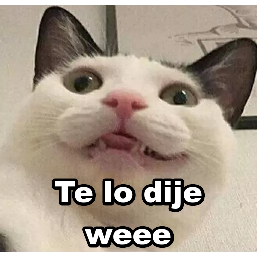 Te lo dije weee Sticker de WhatsApp - DescargarStickers