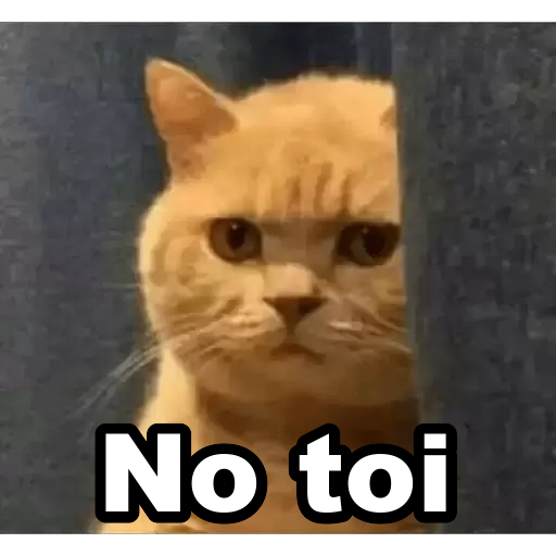 No toi Sticker de WhatsApp - DescargarStickers