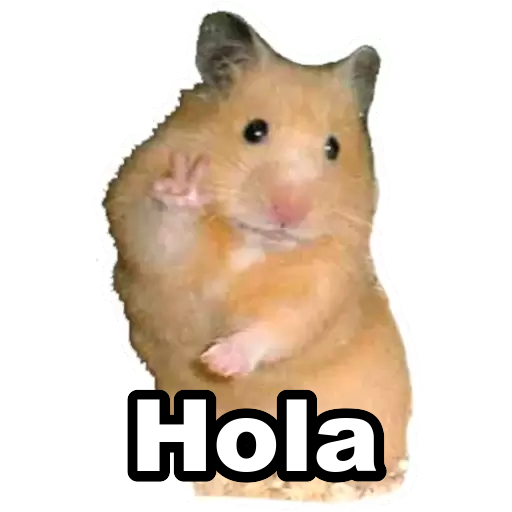 Hola #5974242 Sticker de WhatsApp - DescargarStickers
