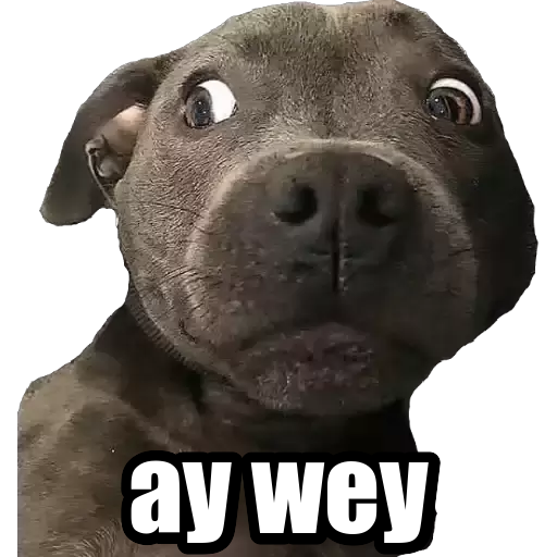 Ay wey #7652038 Sticker de WhatsApp - DescargarStickers