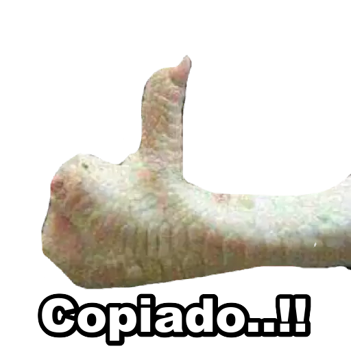 Copiado..!! #8724960 Sticker de WhatsApp - DescargarStickers