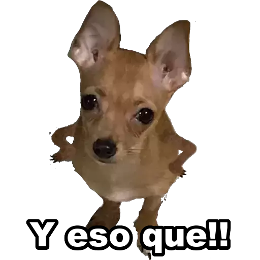 Y eso que!! #9372841 Sticker de WhatsApp - DescargarStickers