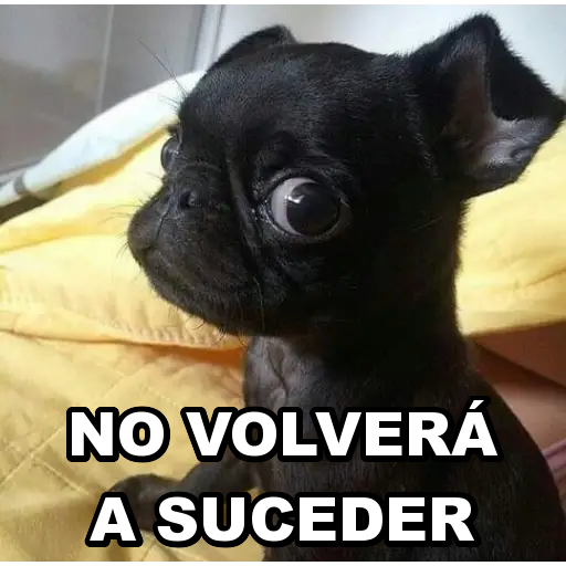 NO VOLVERÁ A SUCEDER Sticker de WhatsApp - DescargarStickers