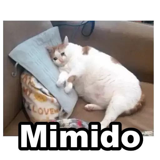 Mimido Sticker de WhatsApp - DescargarStickers