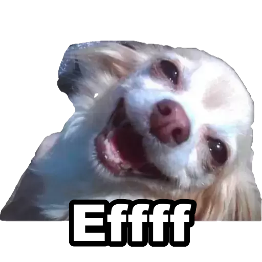 Effff Sticker de WhatsApp - DescargarStickers