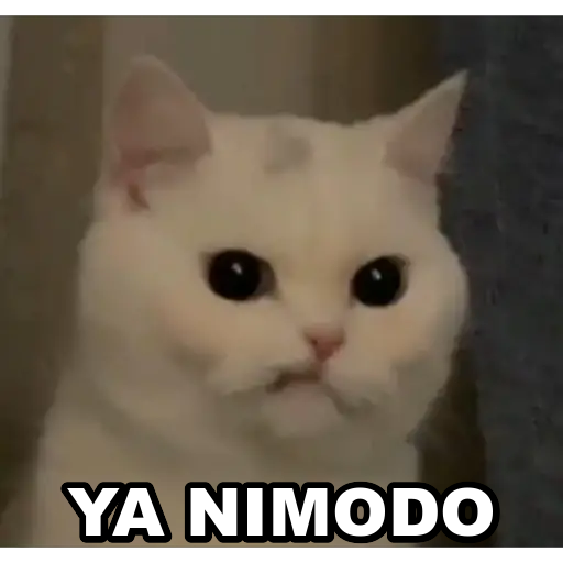 Sticker YA NIMODO PNG - DescargarStickers