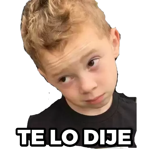 TE LO DIJE #317377 Sticker de WhatsApp - DescargarStickers