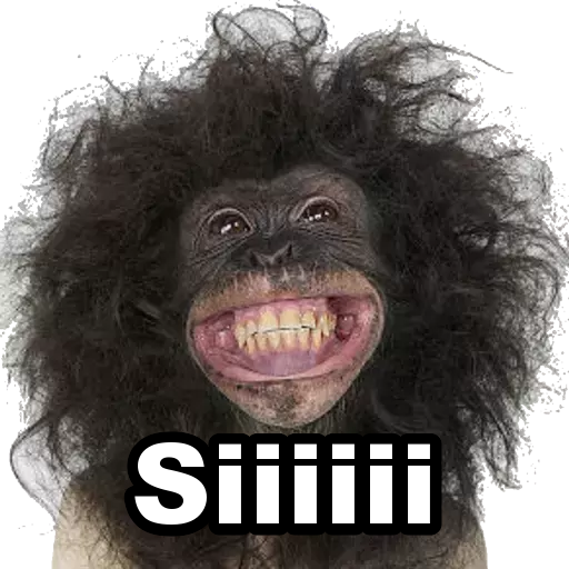 Siiiiii Sticker de WhatsApp - DescargarStickers