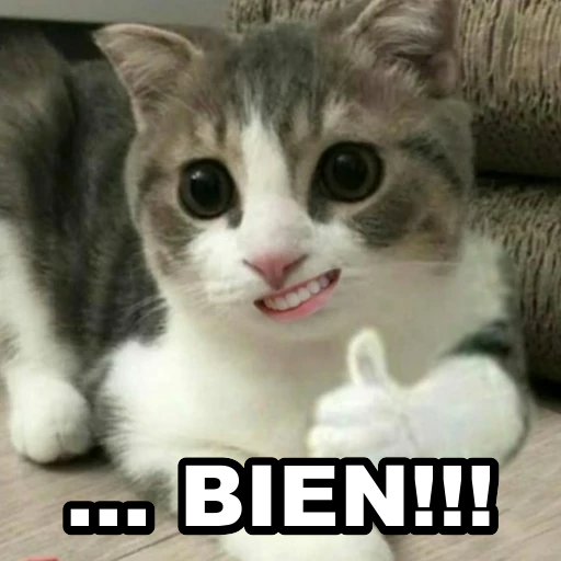 BIEN!!! #488800 Sticker de WhatsApp - DescargarStickers