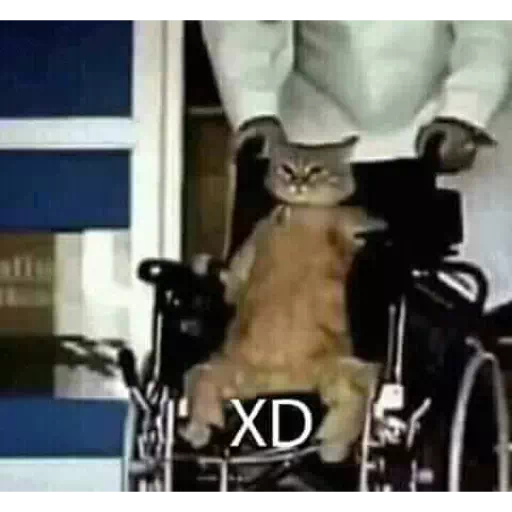 XD #652496 Sticker de WhatsApp - DescargarStickers