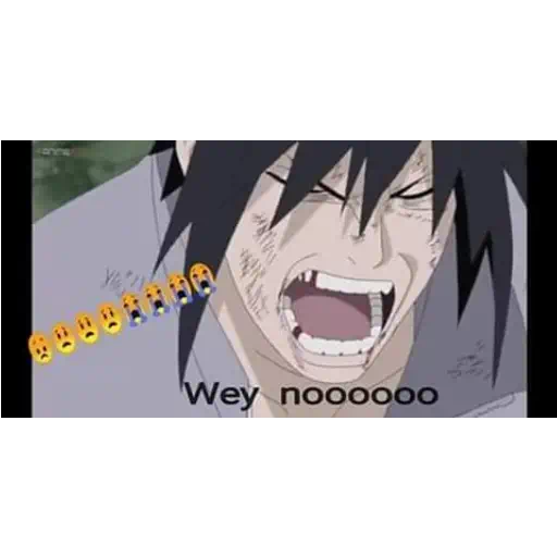 Wey noooooo Sticker de WhatsApp - DescargarStickers