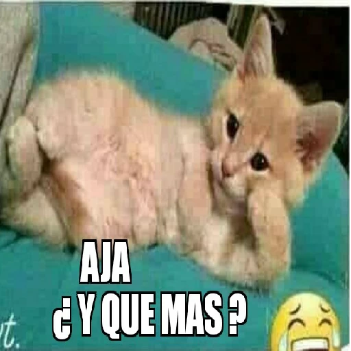 AJA ¿Y QUE MAS? Sticker de WhatsApp - DescargarStickers