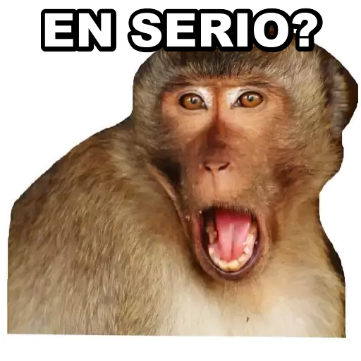 EN SERIO? #863054 Sticker de WhatsApp - DescargarStickers