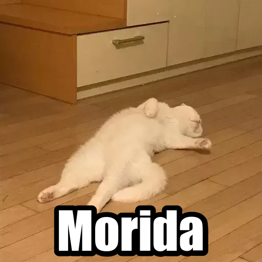 Morida Sticker de WhatsApp - DescargarStickers