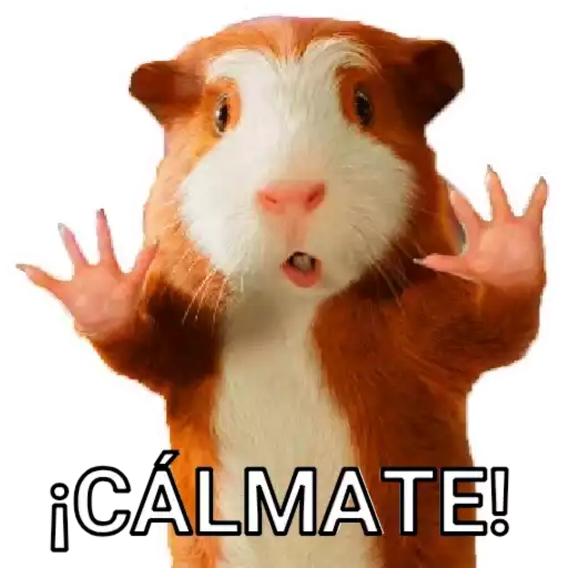 Sticker ¡Cálmate! #921710 PNG - DescargarStickers