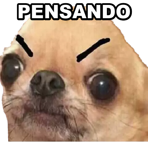 PENSANDO #957599 Sticker de WhatsApp - DescargarStickers