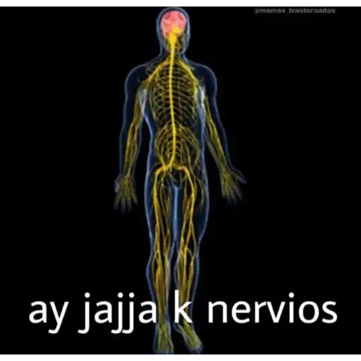 Ay jajja k nervios Sticker de WhatsApp - DescargarStickers