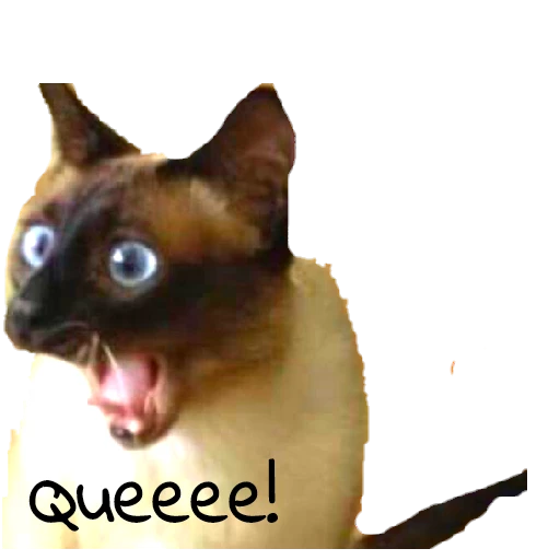 Queeee! #324500 Sticker de WhatsApp - DescargarStickers