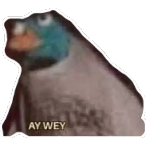 AY WEY PNG transparente - Descargar Stickers