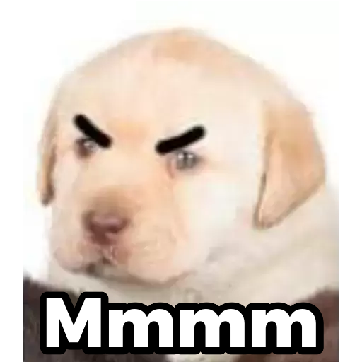 Mmmm #416817 Sticker de WhatsApp - DescargarStickers