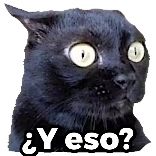 ¿Y eso? Sticker de WhatsApp - DescargarStickers