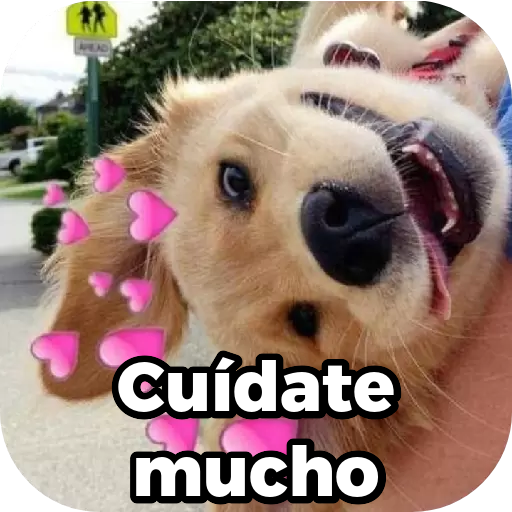 Cuídate mucho Sticker de WhatsApp - DescargarStickers