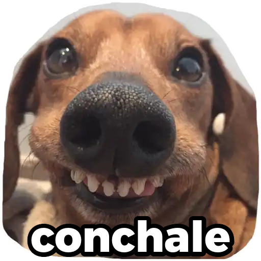 Conchale #027954 Sticker de WhatsApp - DescargarStickers