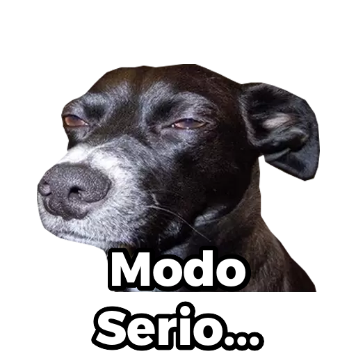 Sticker Modo Serio... #146563 PNG - DescargarStickers