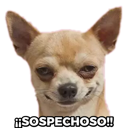 SOSPECHOSO!! #236814 Sticker de WhatsApp - DescargarStickers