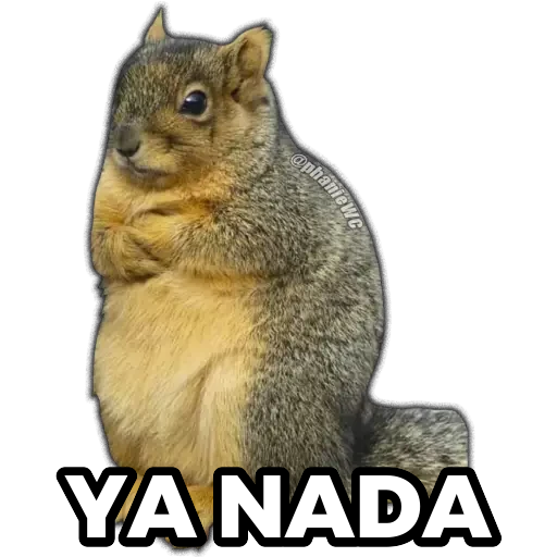YA NADA Sticker de WhatsApp - DescargarStickers