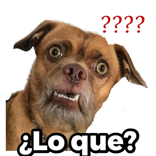 ¿Lo que? Sticker de WhatsApp - DescargarStickers