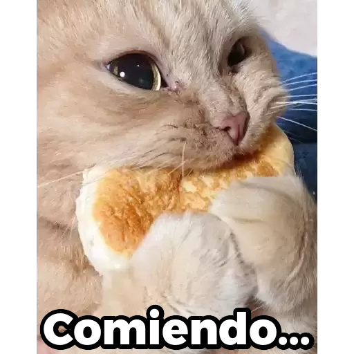 Comiendo... Sticker de WhatsApp - DescargarStickers