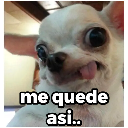 Me quede asi.. Sticker de WhatsApp - DescargarStickers