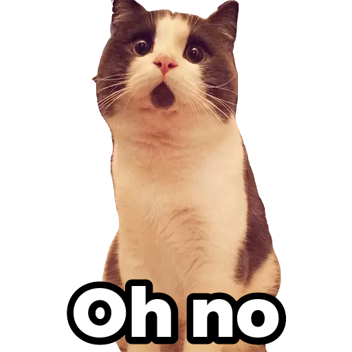 Oh no Sticker - DescargarStickers