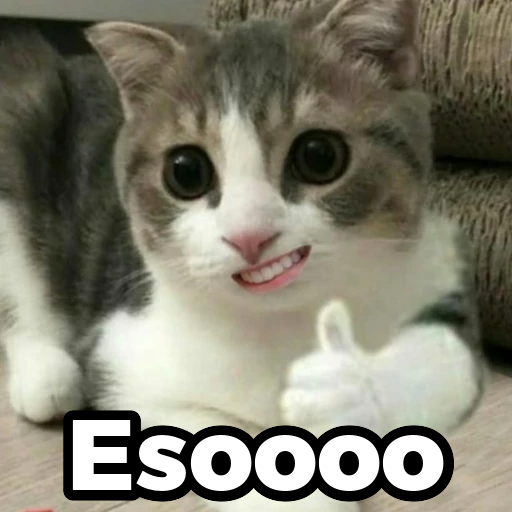Esoooo Sticker de WhatsApp - DescargarStickers