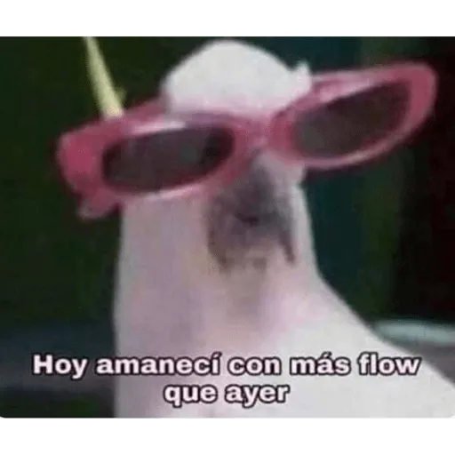 Sticker Hoy amanecí con más flow que ayer PNG - DescargarStickers