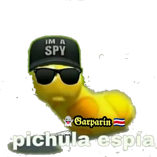 Pichula espía Sticker de WhatsApp - DescargarStickers