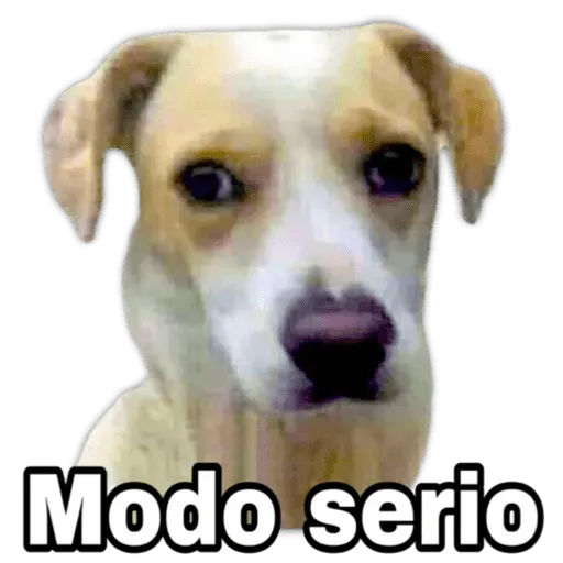 Sticker Modo serio #834266 PNG - DescargarStickers