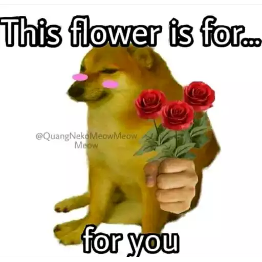 This flower is for.. for you Sticker de WhatsApp - DescargarStickers