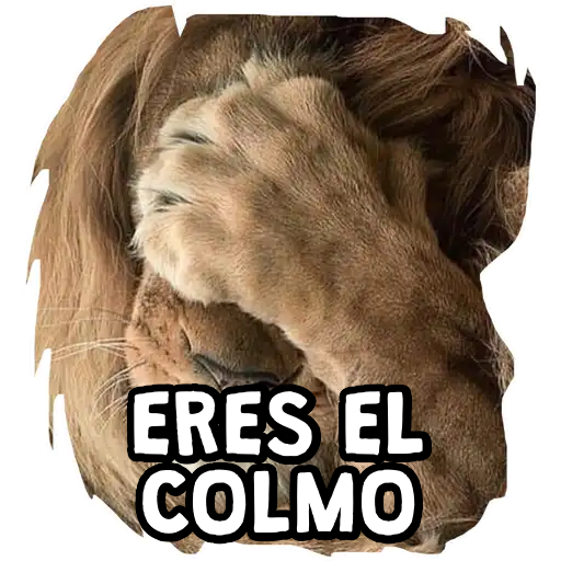Eres el colmo PNG transparente - Descargar Stickers