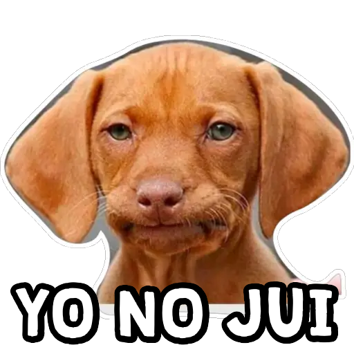 YO NO JUI Sticker de WhatsApp - DescargarStickers