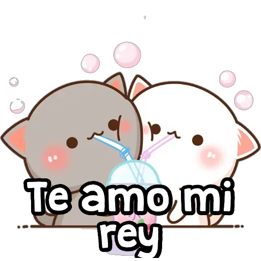 Te Amo Mi Rey