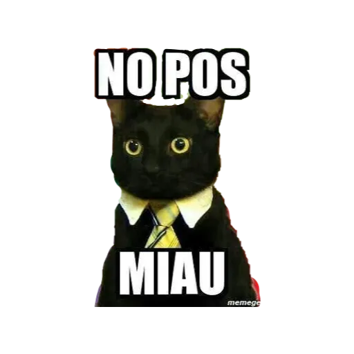 NO POS MIAU #702047 Sticker de WhatsApp - DescargarStickers